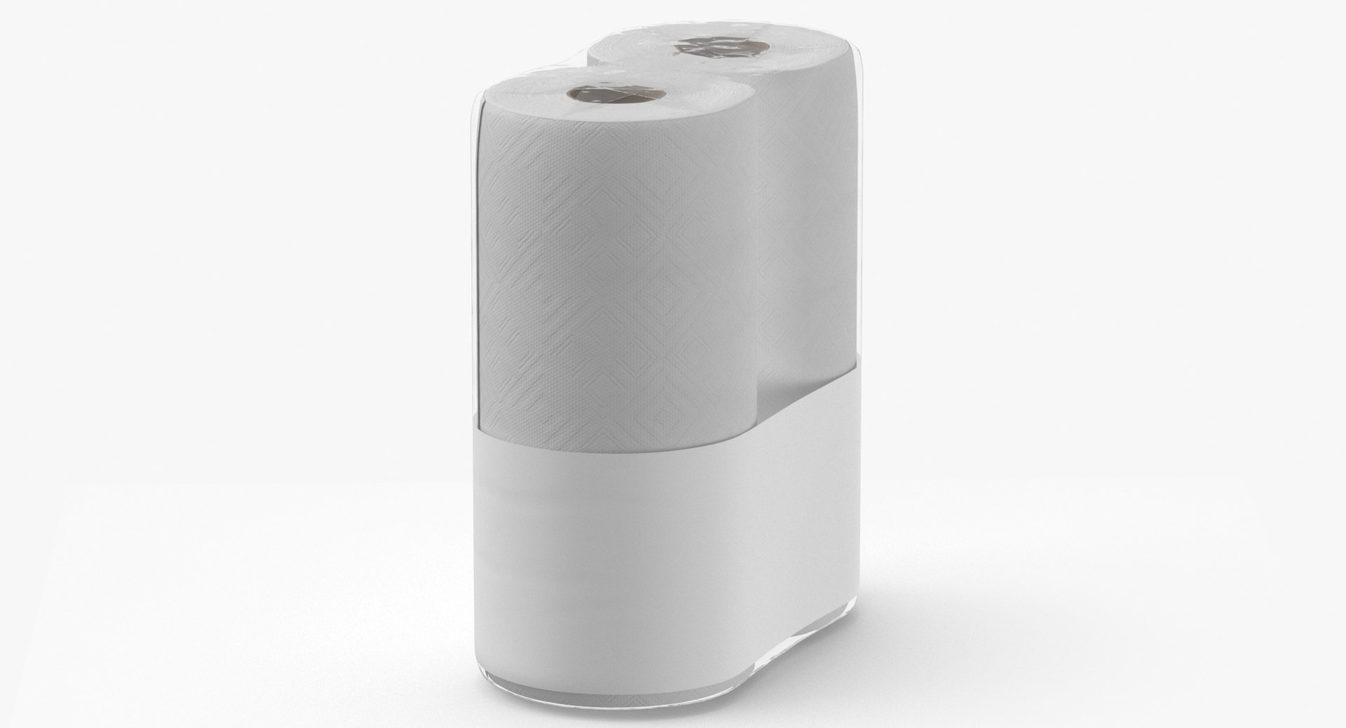 Paper Towels 2 Pack Blank and Generic Label 3D model - TurboSquid 2002667