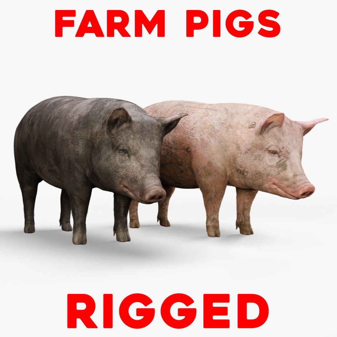3D Detailed Realistic Farm Pig Rigged Model - TurboSquid 1884789
