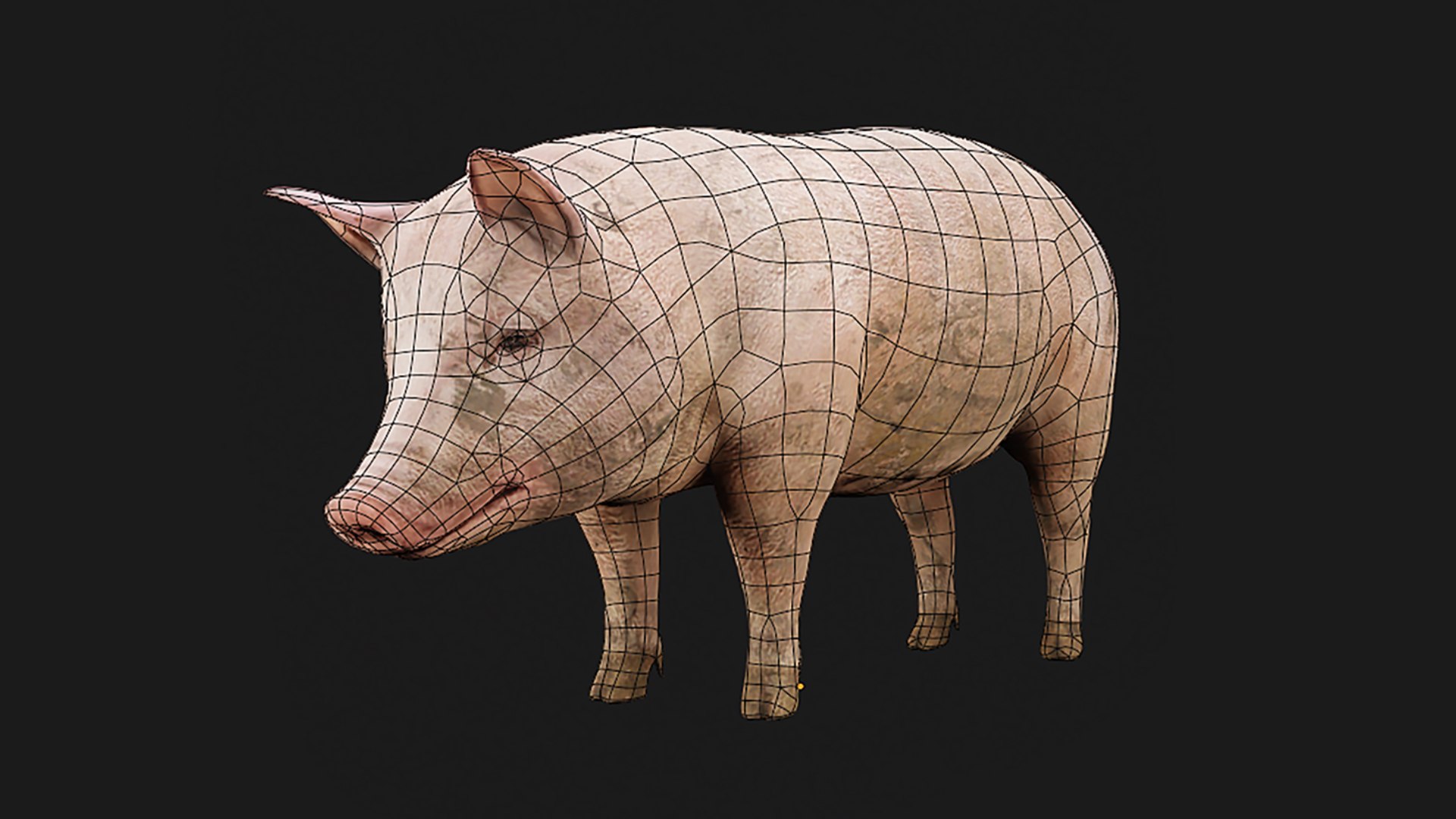 3D Detailed Realistic Farm Pig Rigged Model - TurboSquid 1884789