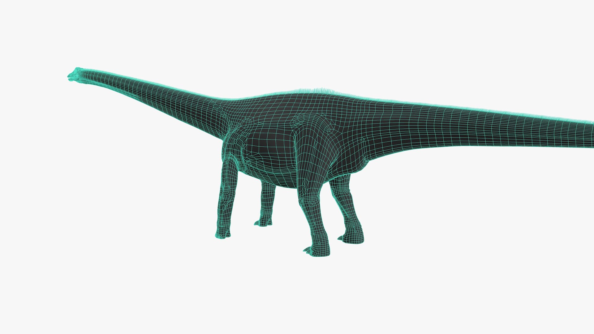 Diplodocus Dinosaur 3D Model - TurboSquid 2341345