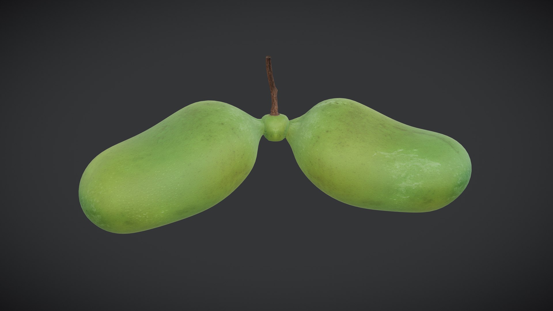 3D Fruit Asimina Triloba Low Poly Model - TurboSquid 2371450