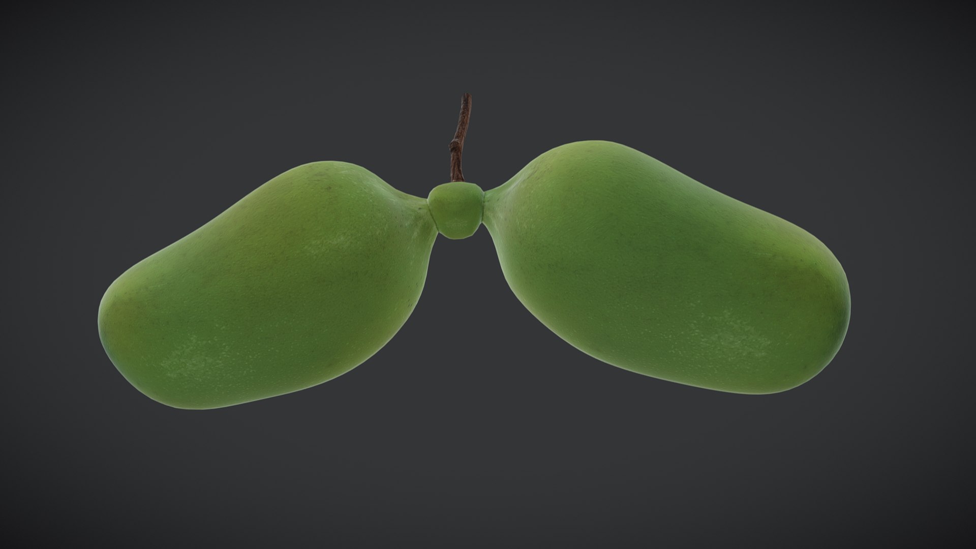 3D Fruit Asimina Triloba Low Poly Model - TurboSquid 2371450