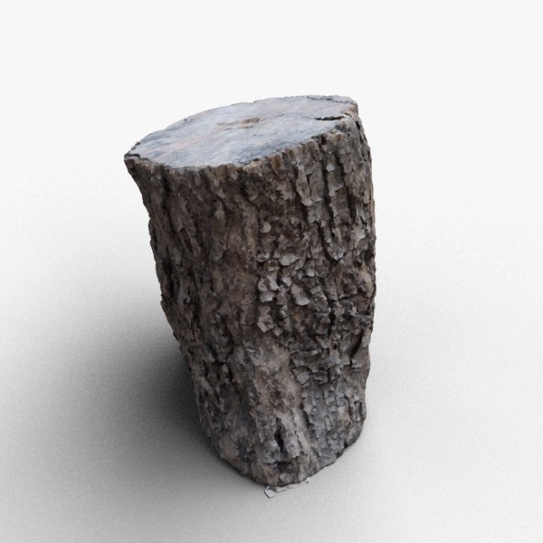 Tree trunk 3D model model - TurboSquid 1800968