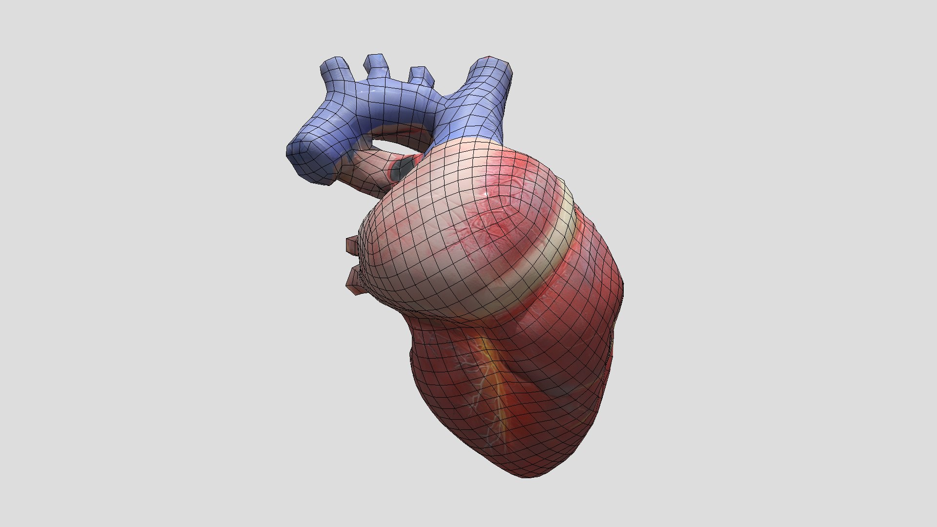 Human Heart 3D - TurboSquid 2239495