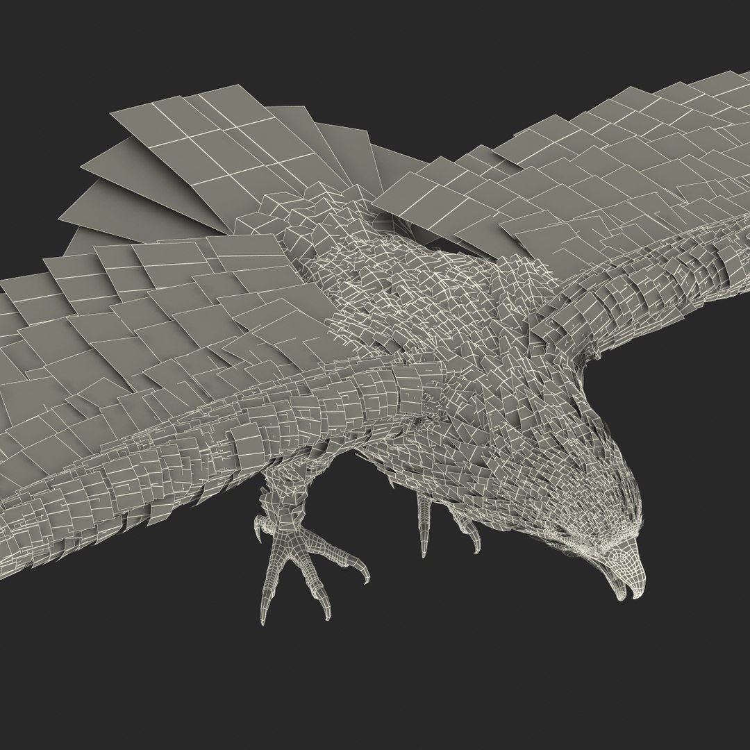 3d imperial eagle model