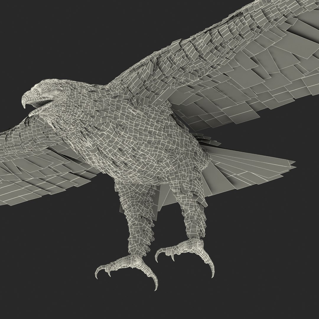 3d imperial eagle model