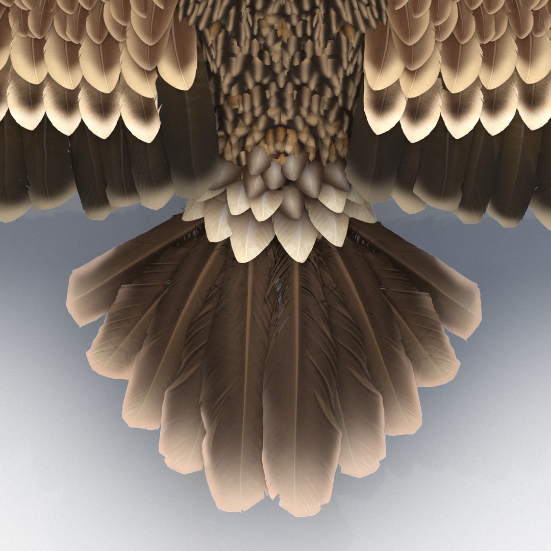 3d imperial eagle model