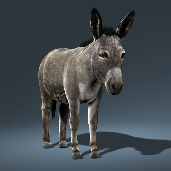 3d realistic donkey