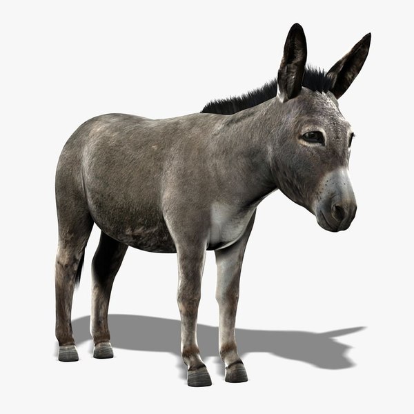3d realistic donkey