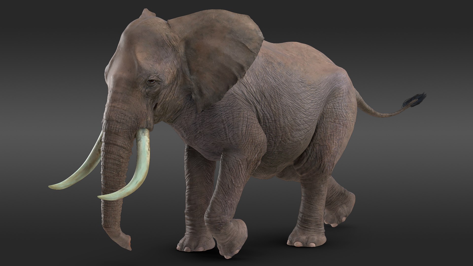 3D Model Elephant Running Animal Fur - TurboSquid 1451496