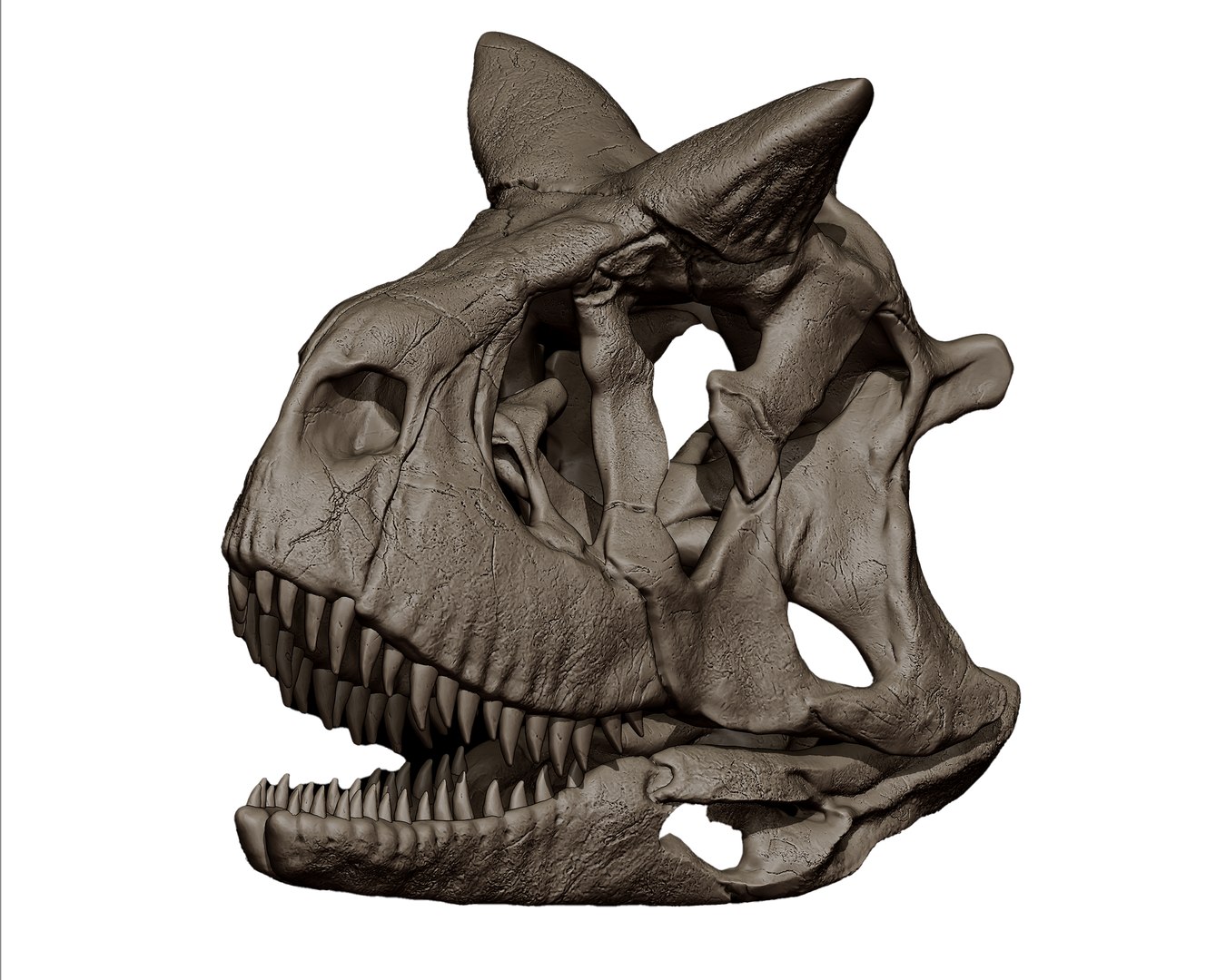 Carnotaurus Skull 3D Print Nodel 3D - TurboSquid 2161655