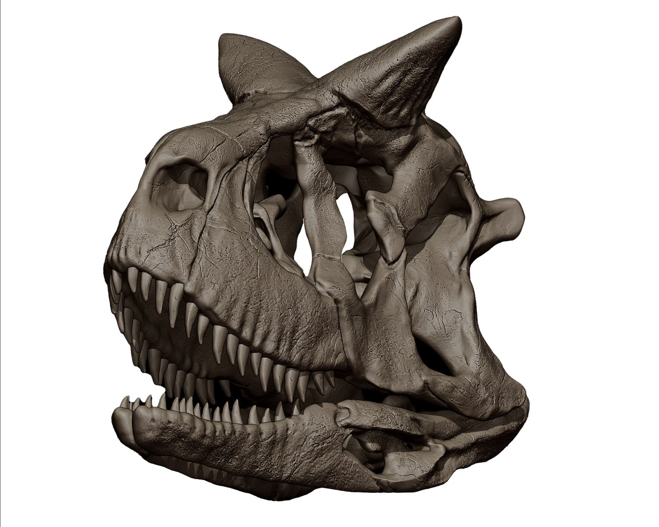 Carnotaurus Skull 3D Print Nodel 3D - TurboSquid 2161655
