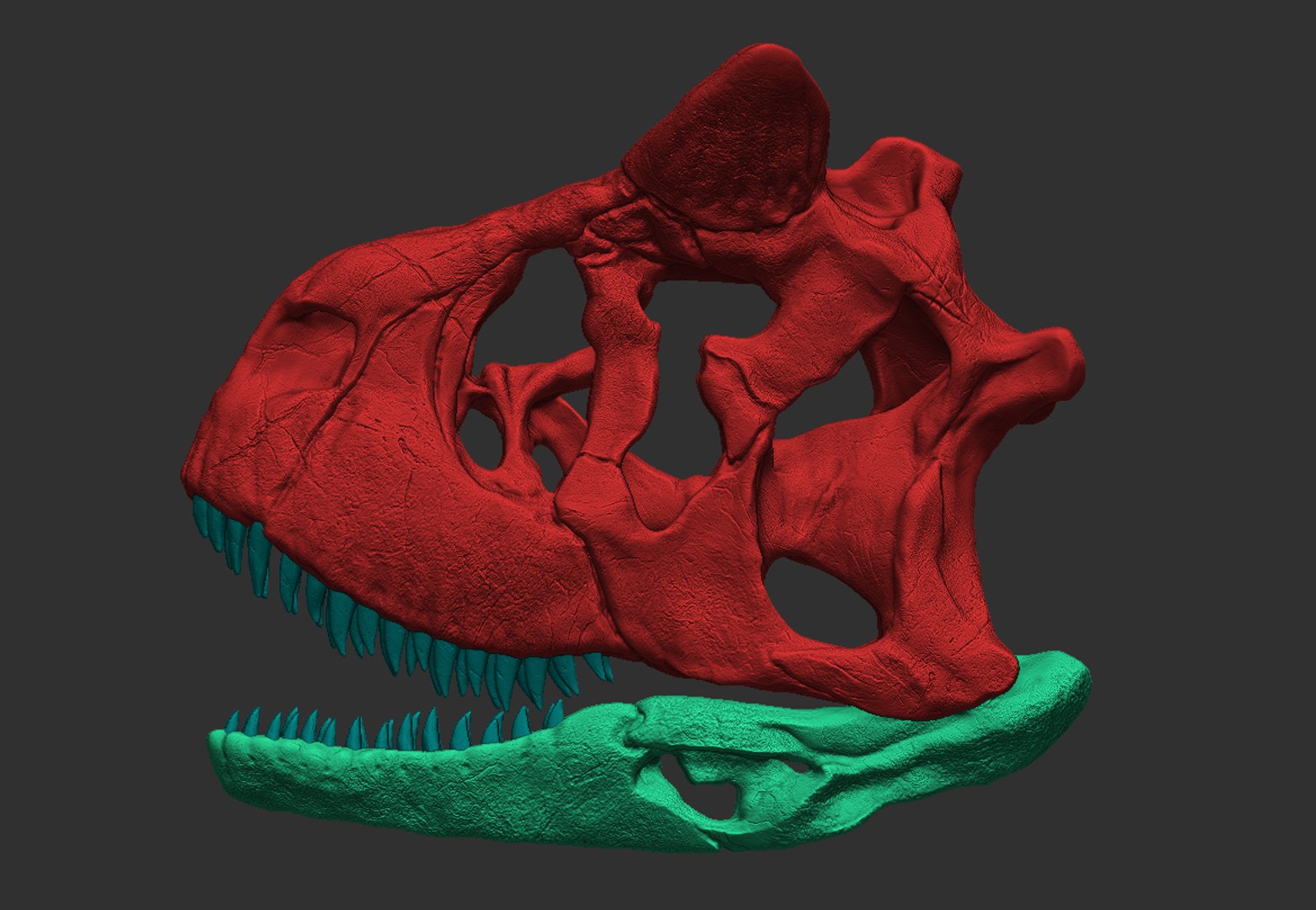 Carnotaurus Skull 3D Print Nodel 3D - TurboSquid 2161655