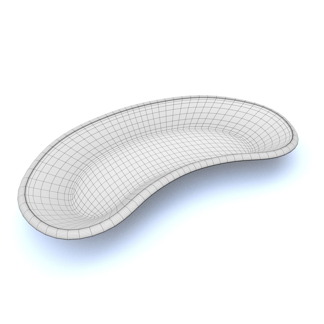 3D Kidney Basin Model - TurboSquid 1670353