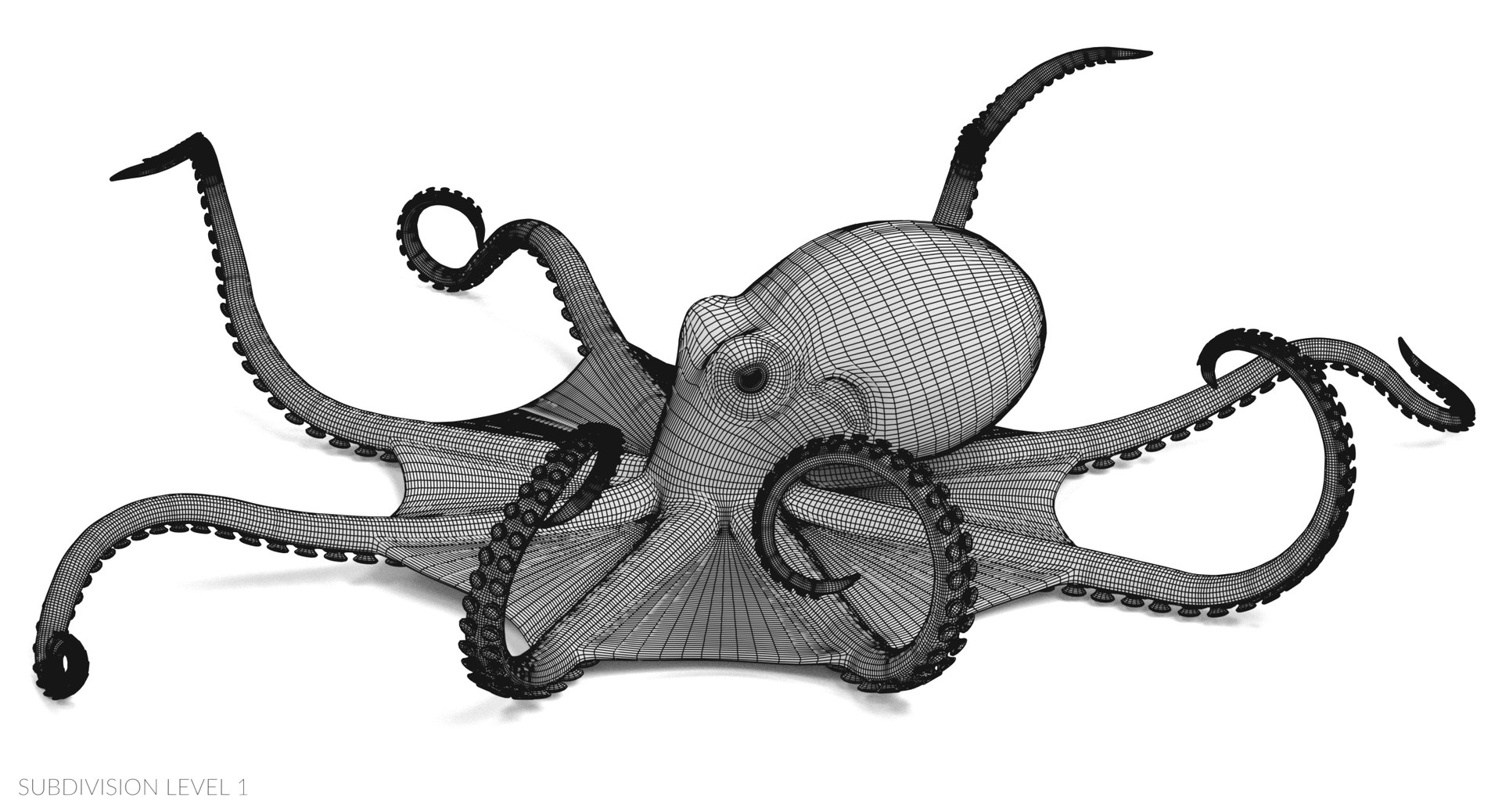 3D Model Giant Pacific Octopus Rigged - TurboSquid 1362453