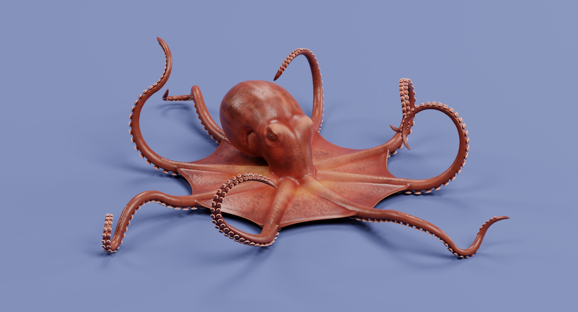 3D Model Giant Pacific Octopus Rigged - TurboSquid 1362453