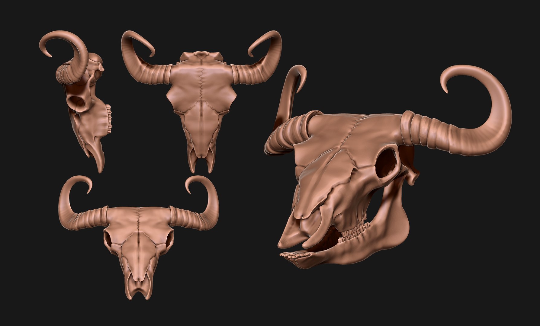 BISON-SKULL 3D - TurboSquid 1796113