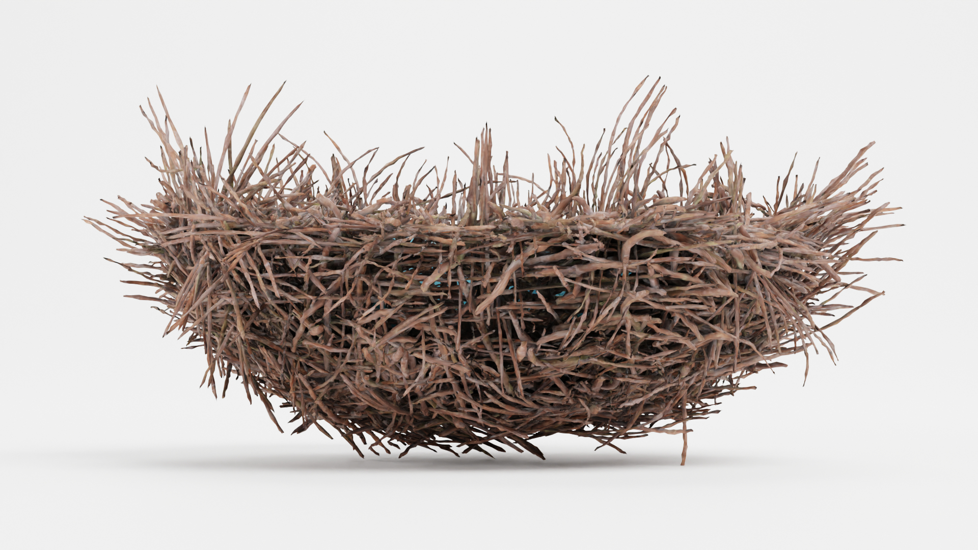 3D Nest with Eggs model - TurboSquid 1765278