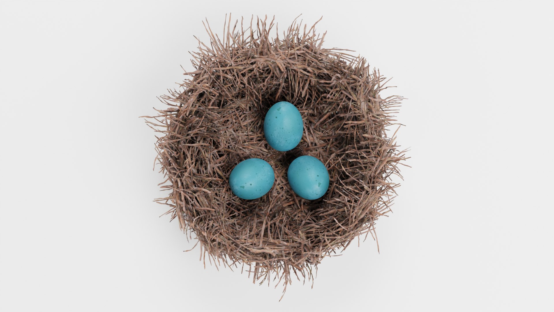 3D Nest With Eggs Model - TurboSquid 1765278