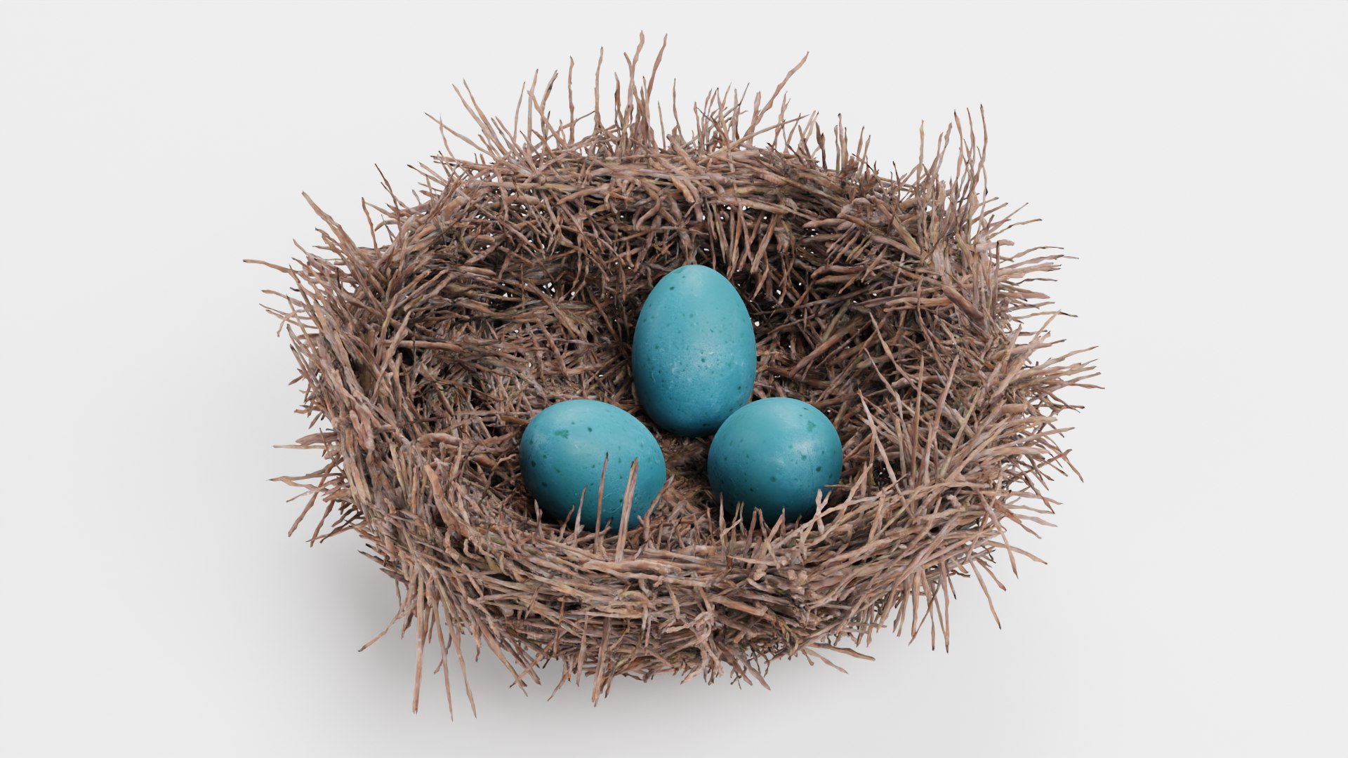 3D Nest With Eggs Model - TurboSquid 1765278