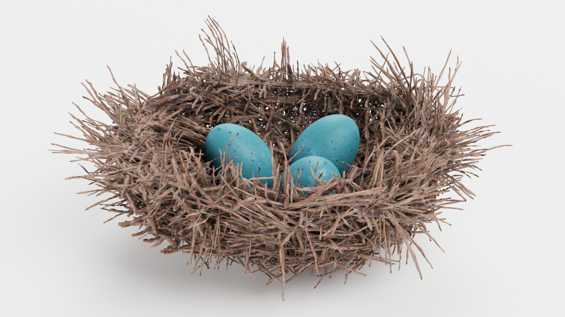 3D Nest with Eggs model - TurboSquid 1765278