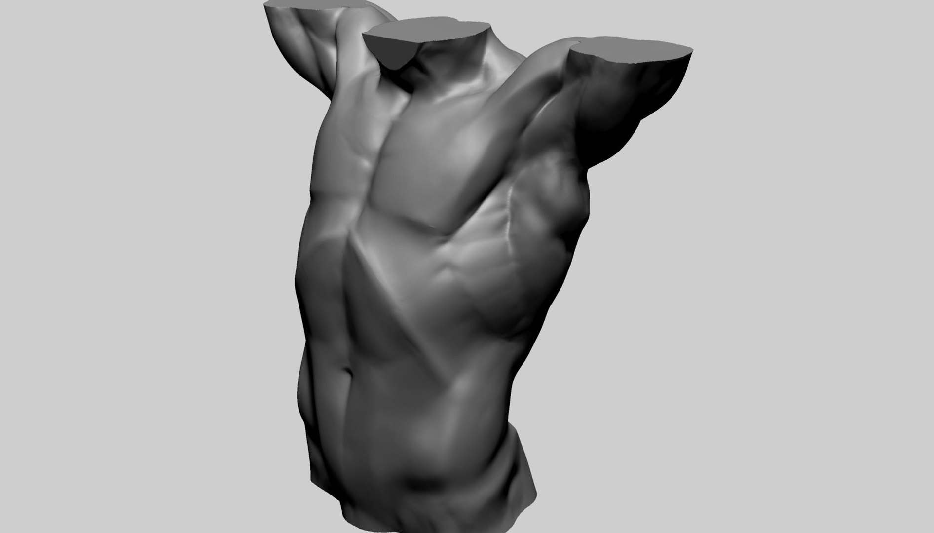 3D Base Male Torso D Model - TurboSquid 2198871