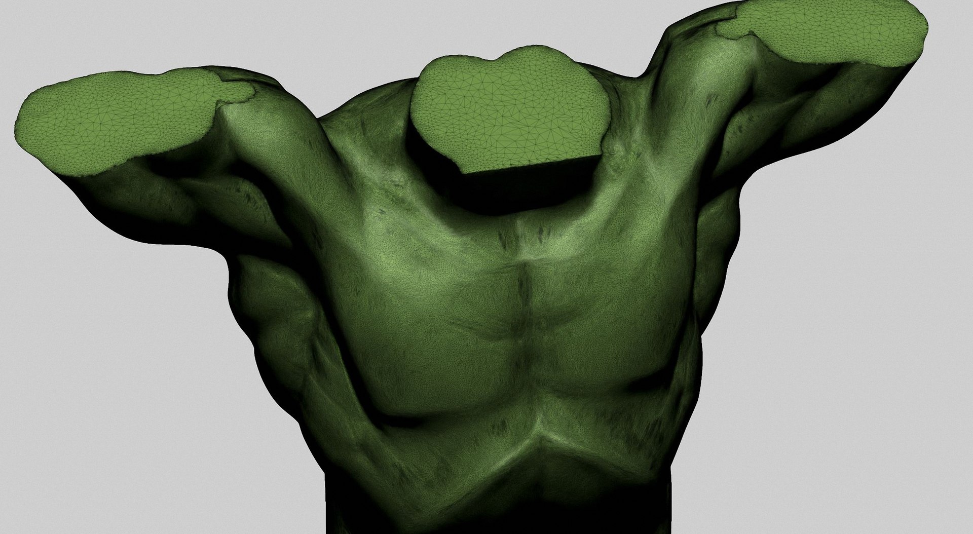 3D Base Male Torso D Model - TurboSquid 2198871