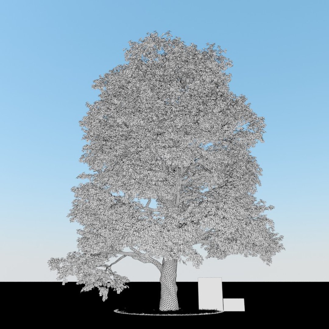 x realistic maple tree autumn