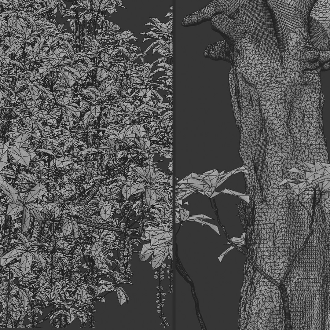 Set Of Barringtonia Acutangula Or Itchy Tree - 2 Trees 3D Model ...