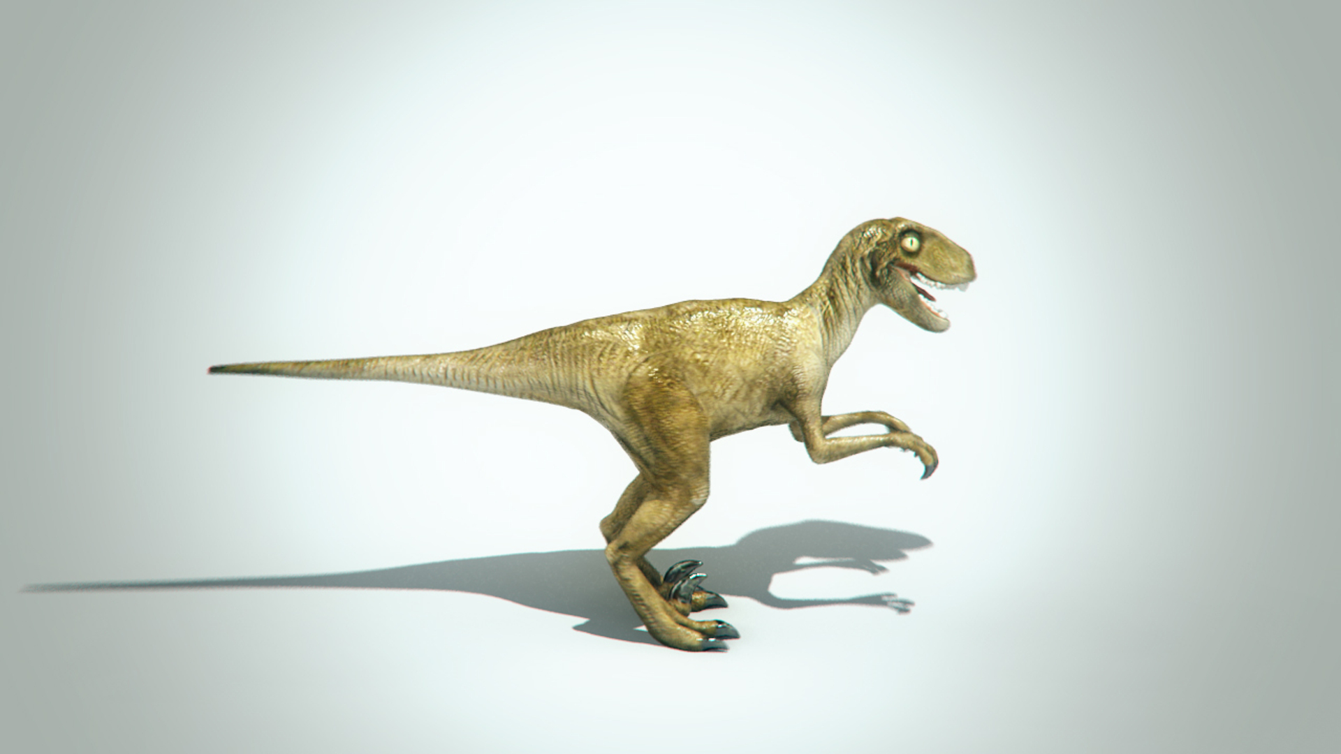 Max Raptor Rigged Character