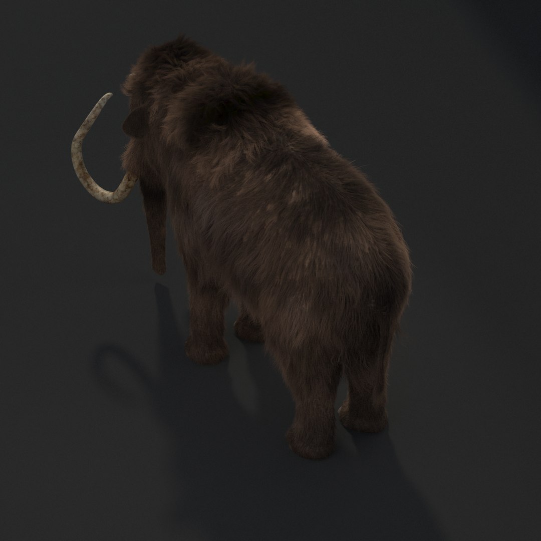 Mammoth Fur 3d Max