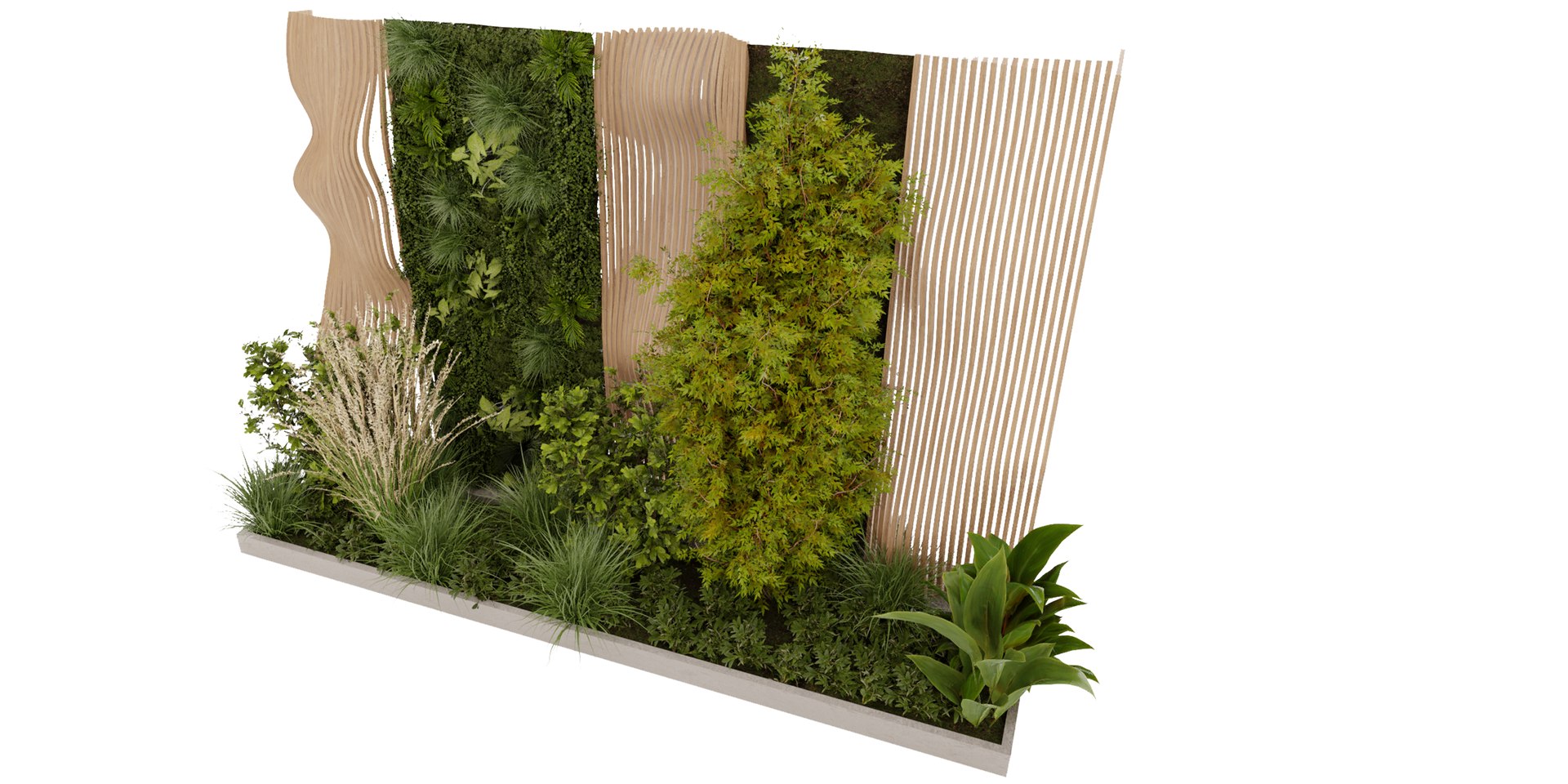Collection plant vol 485 - garden - pampas - 3d curves - grass ...