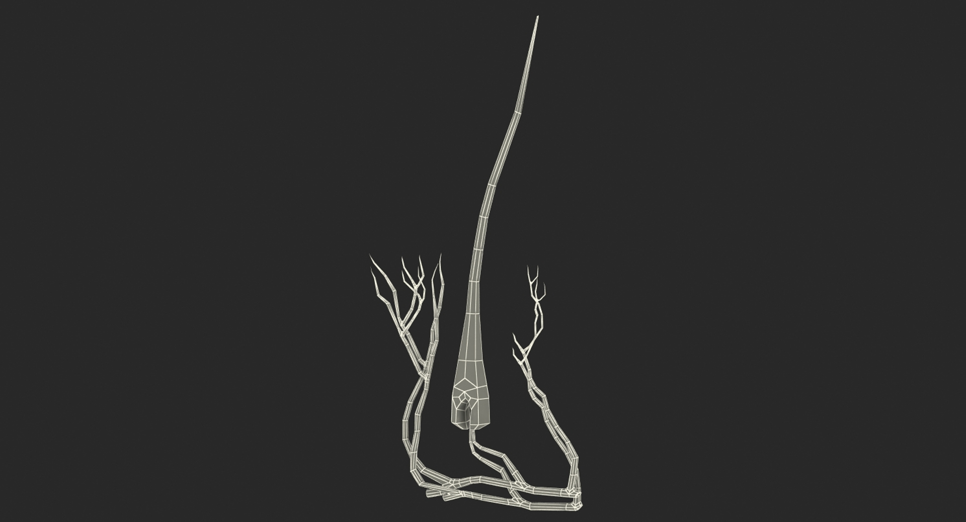 Structure Human Hair 3D Model - TurboSquid 1328492