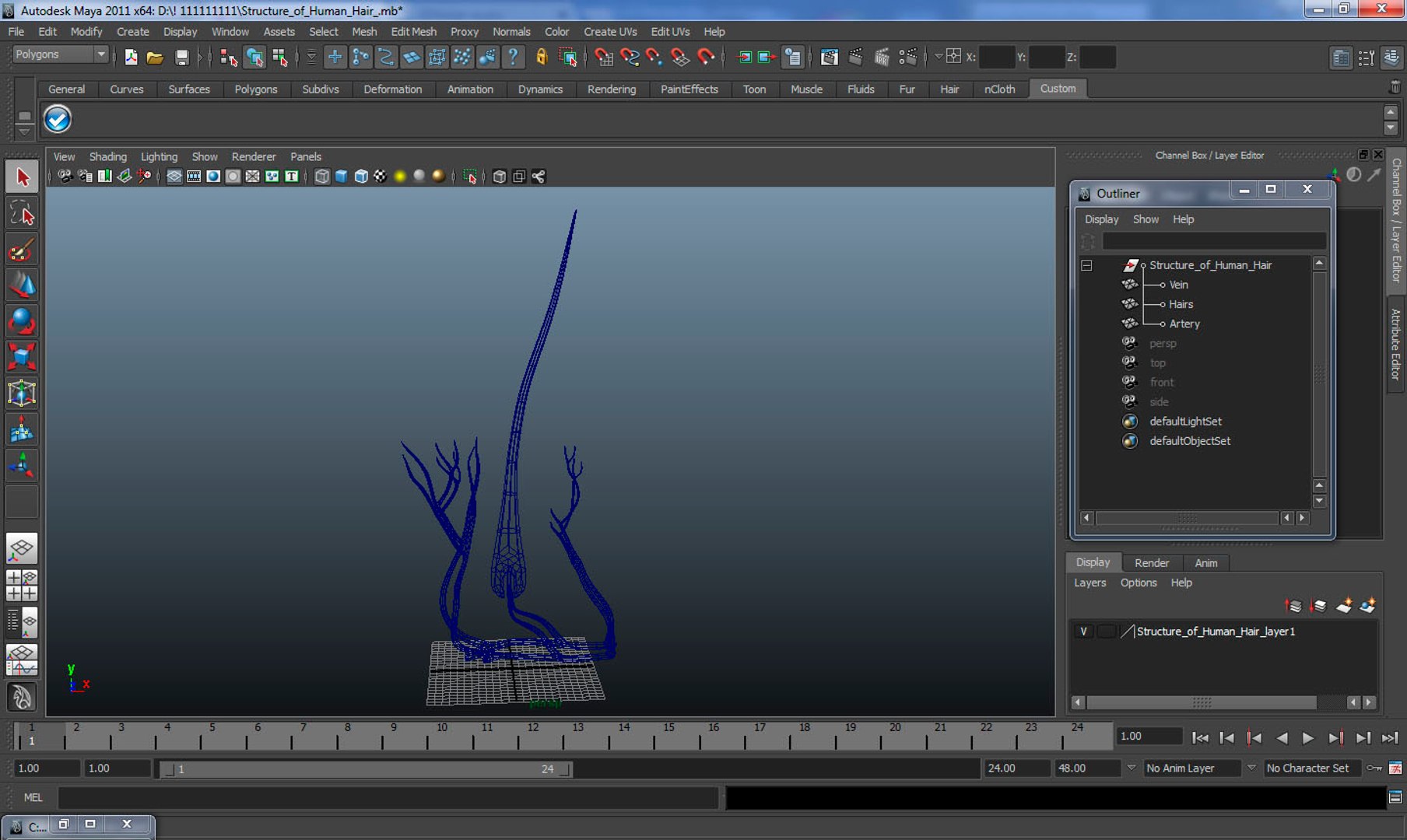 Structure Human Hair 3D Model - TurboSquid 1328492