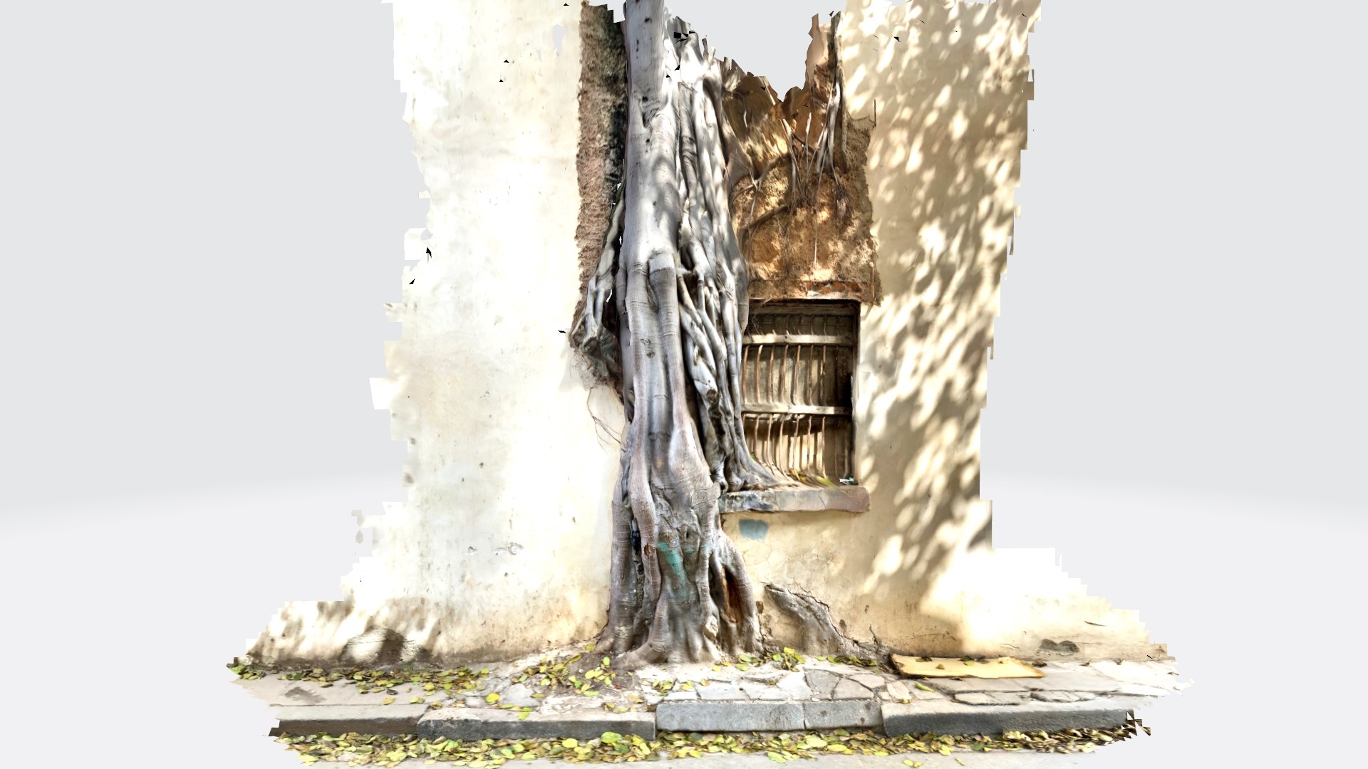 3D Window Tree Model - TurboSquid 1968068