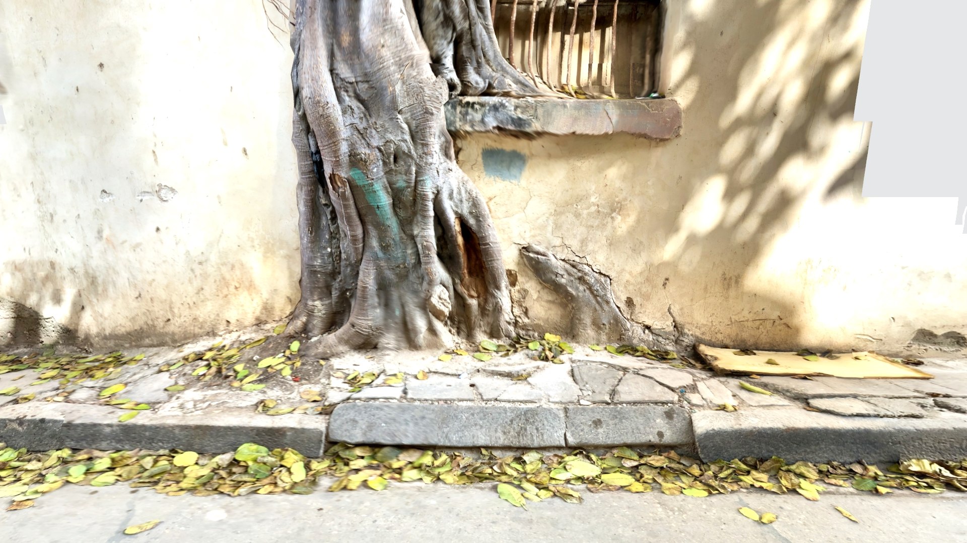 3D Window Tree Model - TurboSquid 1968068