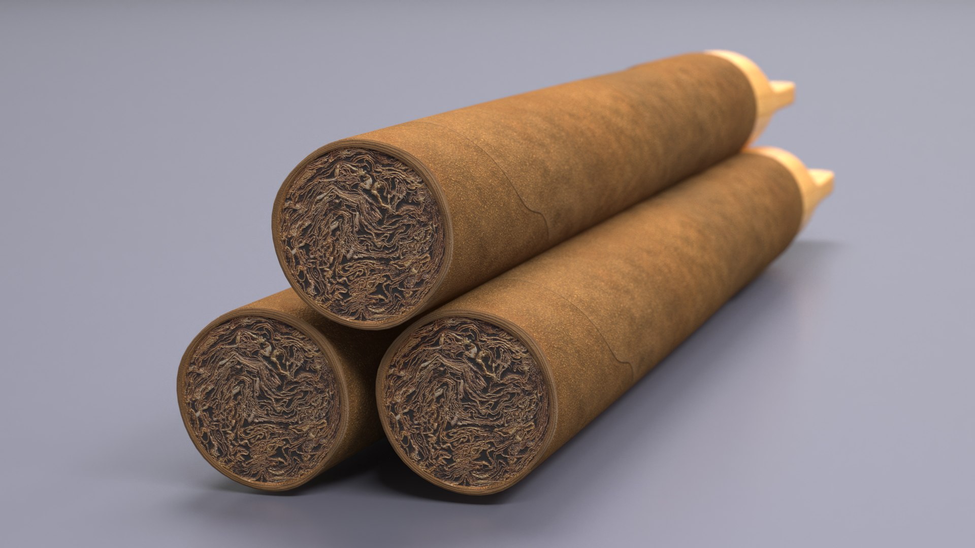 3D Cigar With Wooden Tip - TurboSquid 2235496