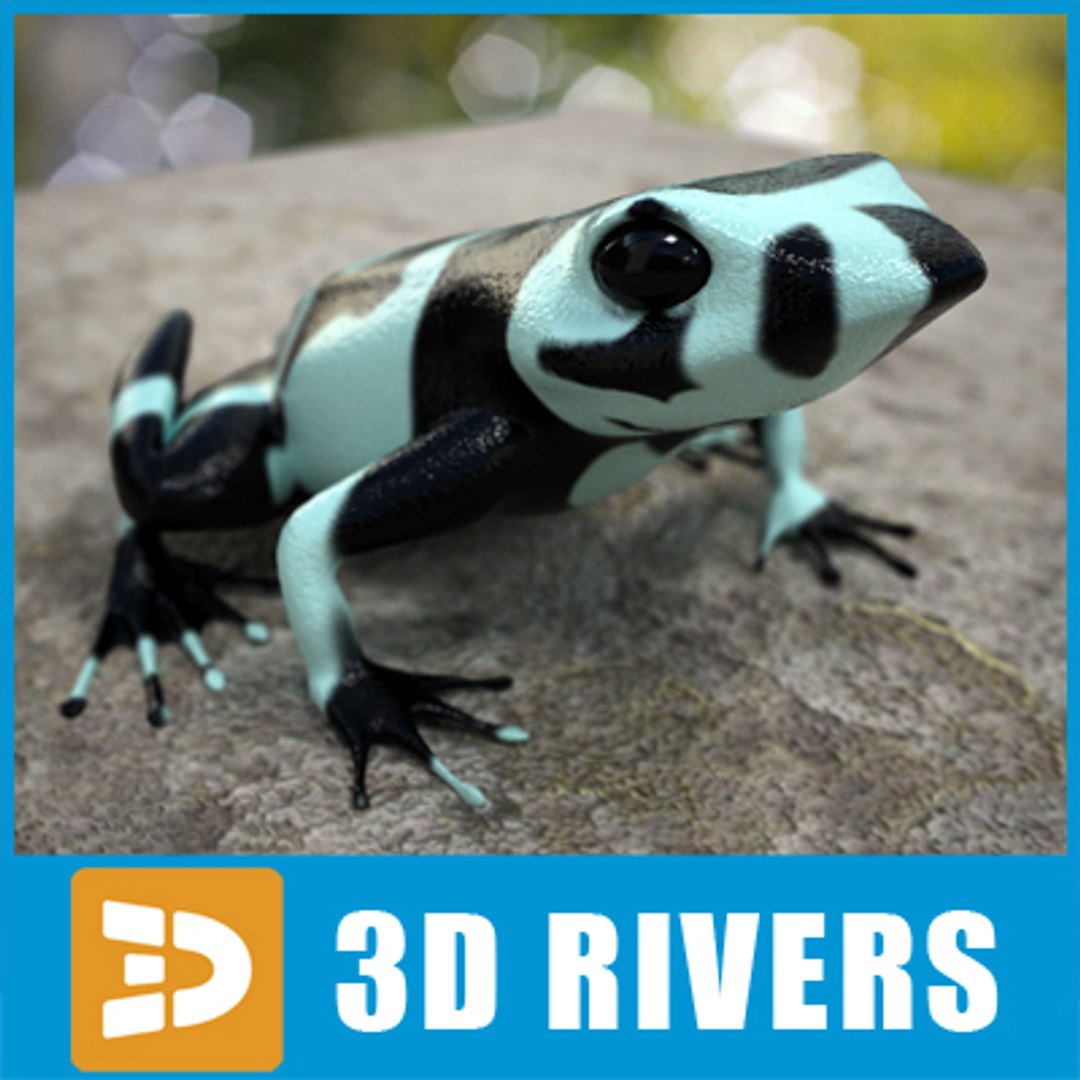 3d atelopus frog model
