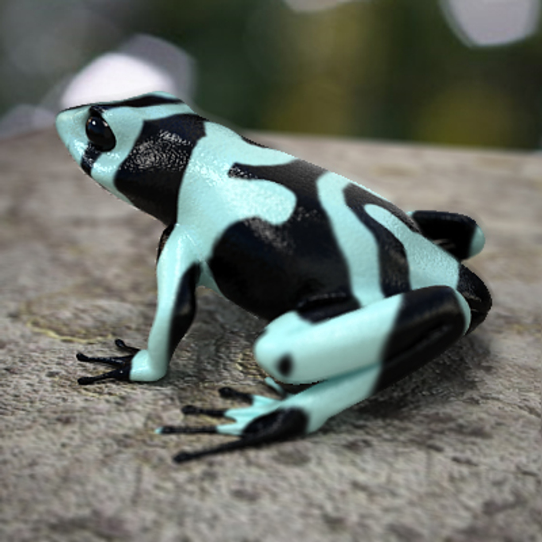 3d atelopus frog model