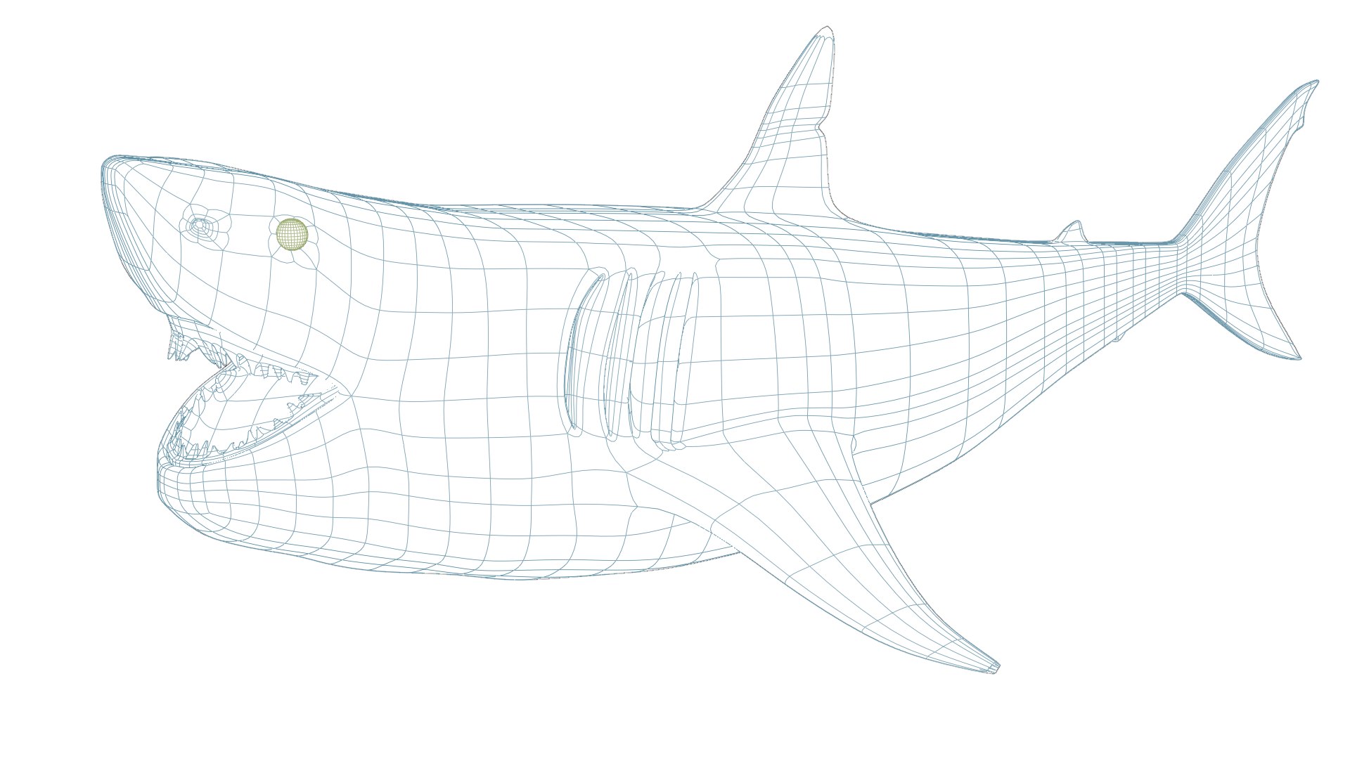 3D Great White Shark - TurboSquid 2151405