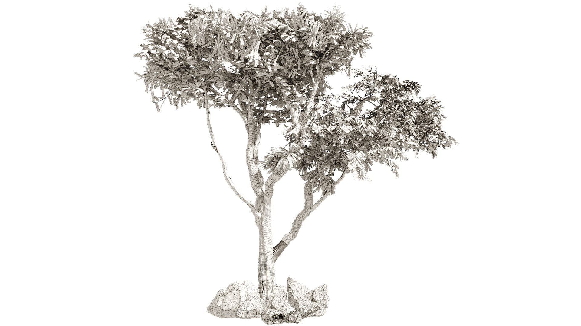 Tree Pink 3D Model - TurboSquid 2191704