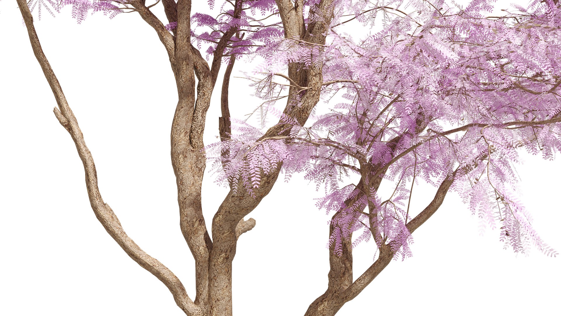 Tree Pink 3D Model - TurboSquid 2191704