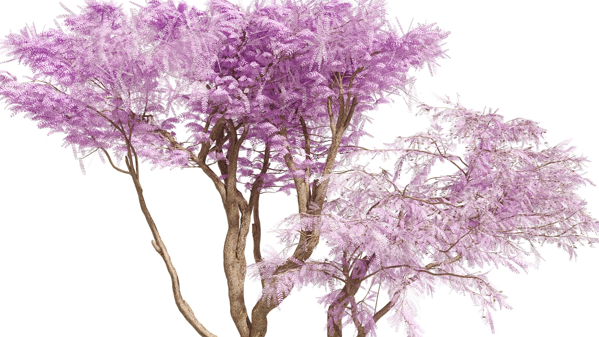 Tree Pink 3D Model - TurboSquid 2191704