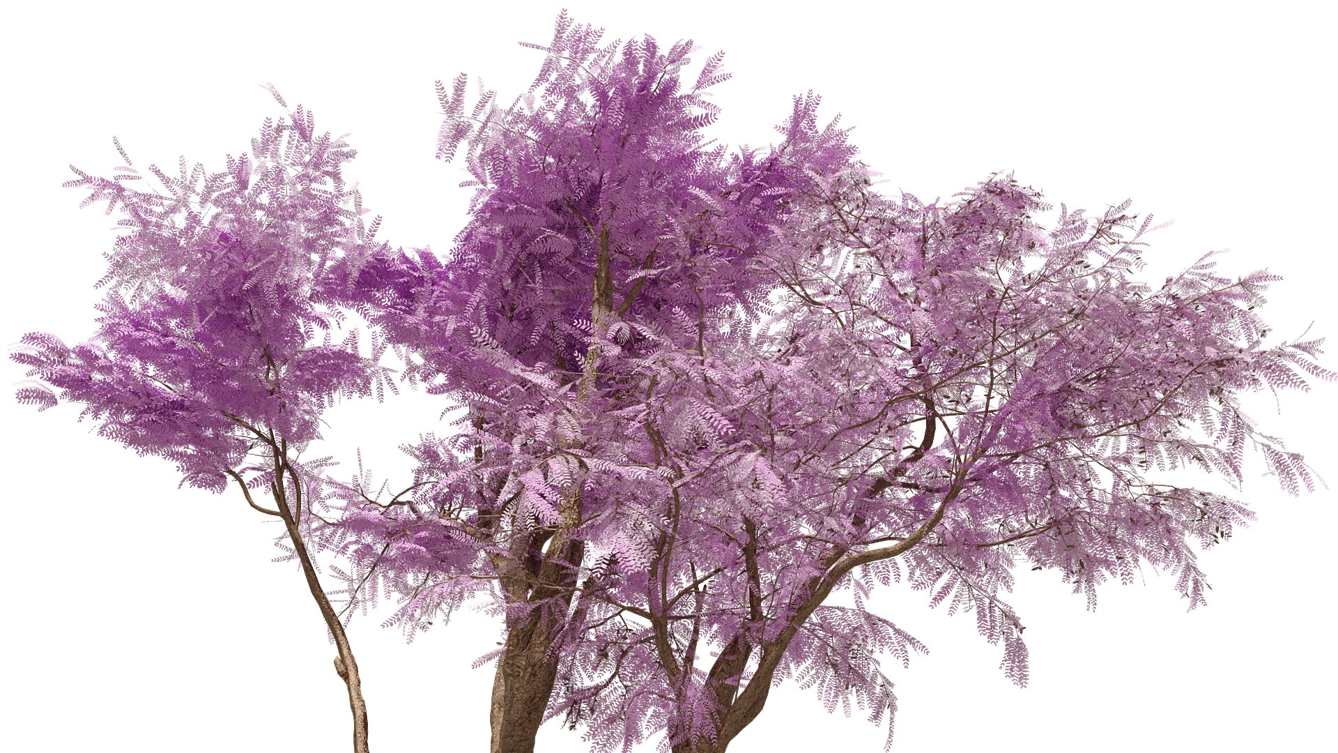 Tree Pink 3D Model - TurboSquid 2191704