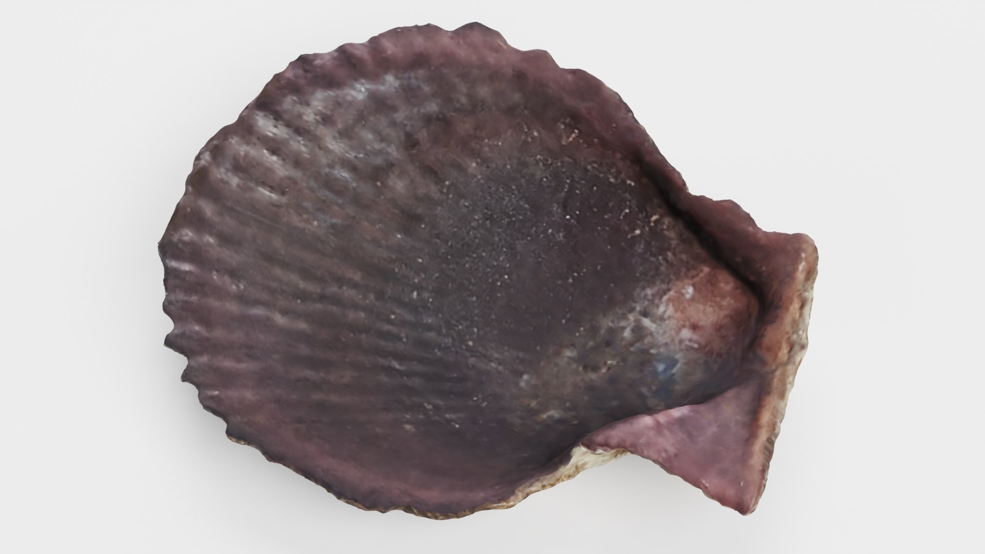 3D Shell Dark Model - TurboSquid 2049556