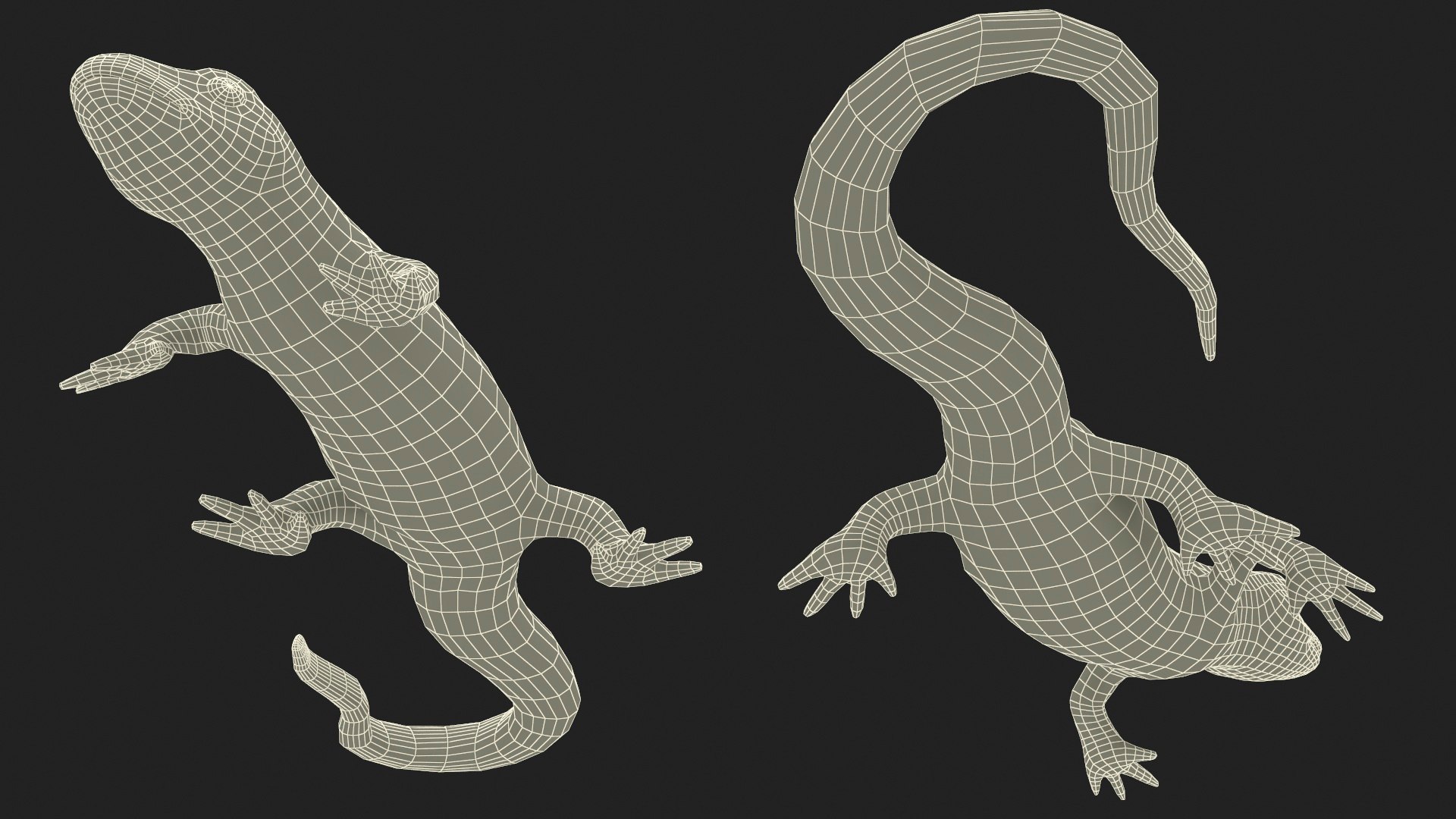 Sierra Newt Crawling Pose model - TurboSquid 2143598