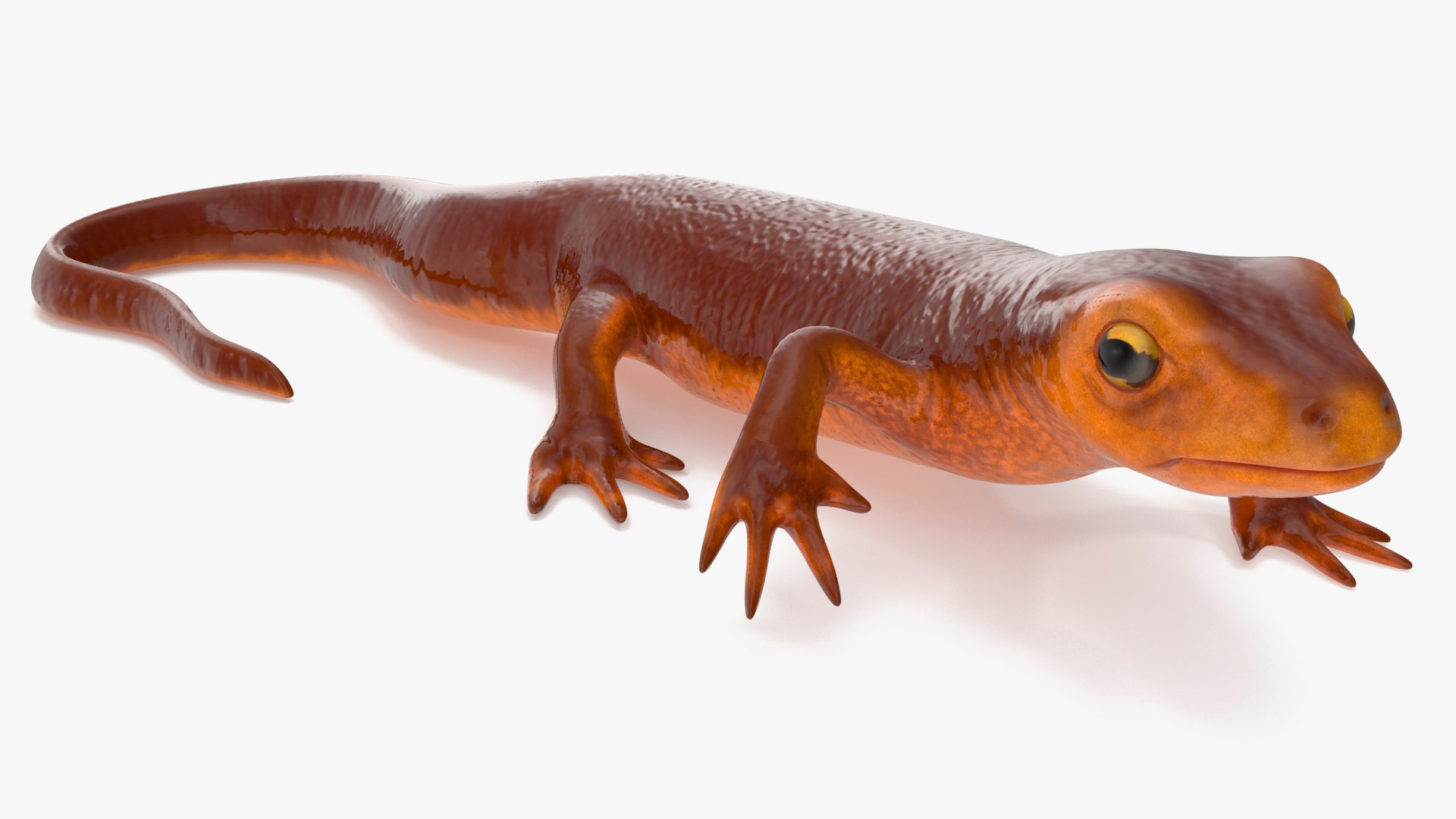 Sierra Newt Crawling Pose model - TurboSquid 2143598