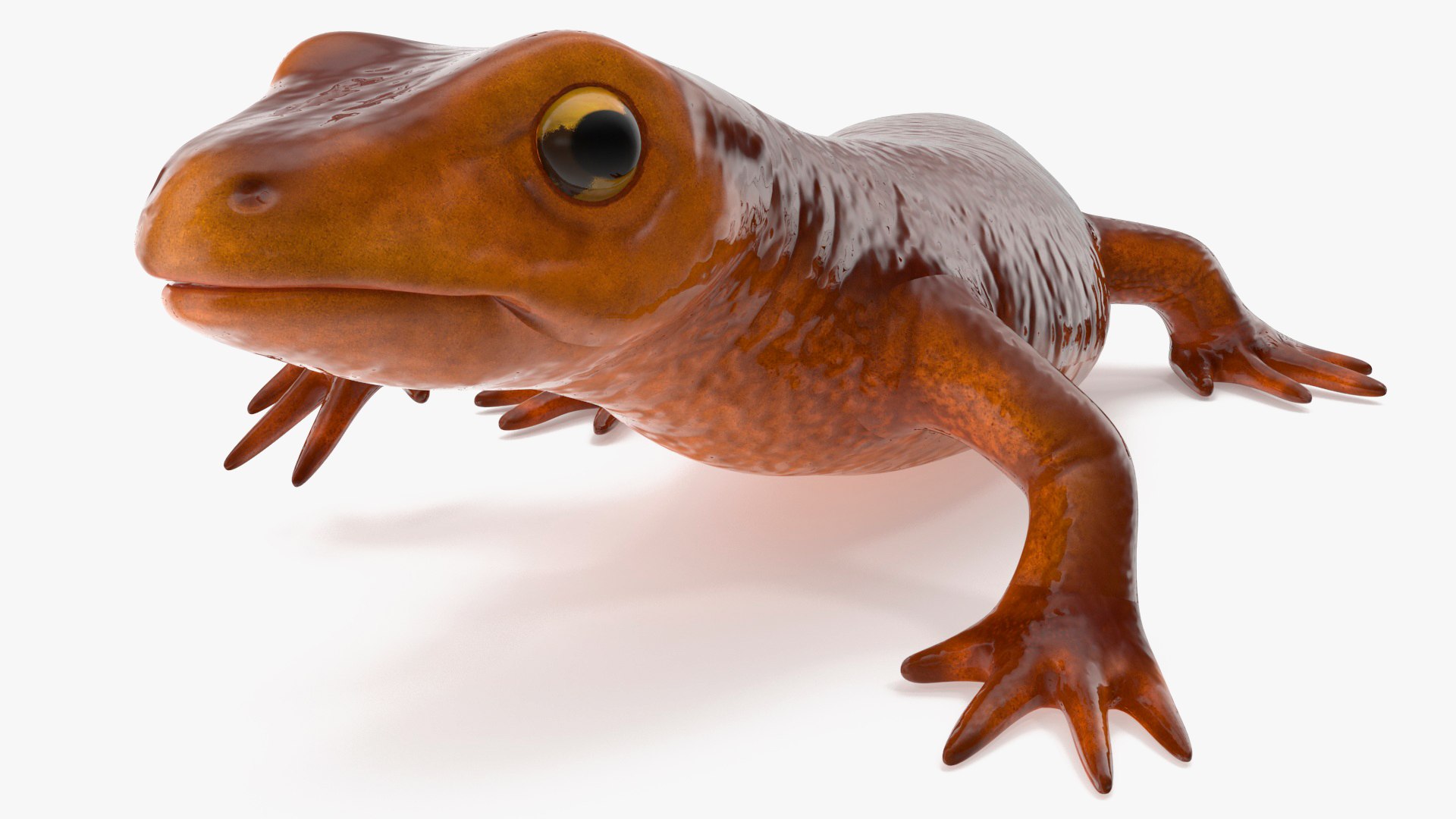 Sierra Newt Crawling Pose model - TurboSquid 2143598
