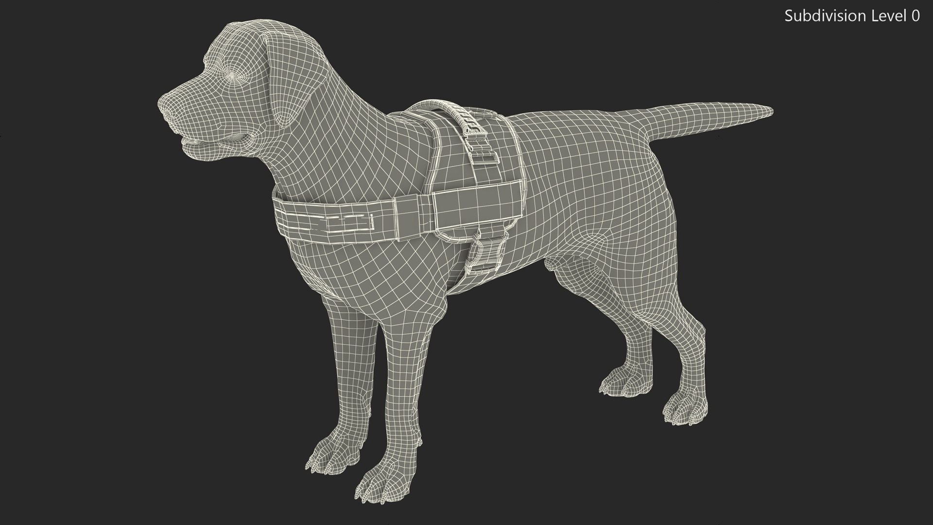 Service Dog With Harness Fur 3D Model - TurboSquid 2197310