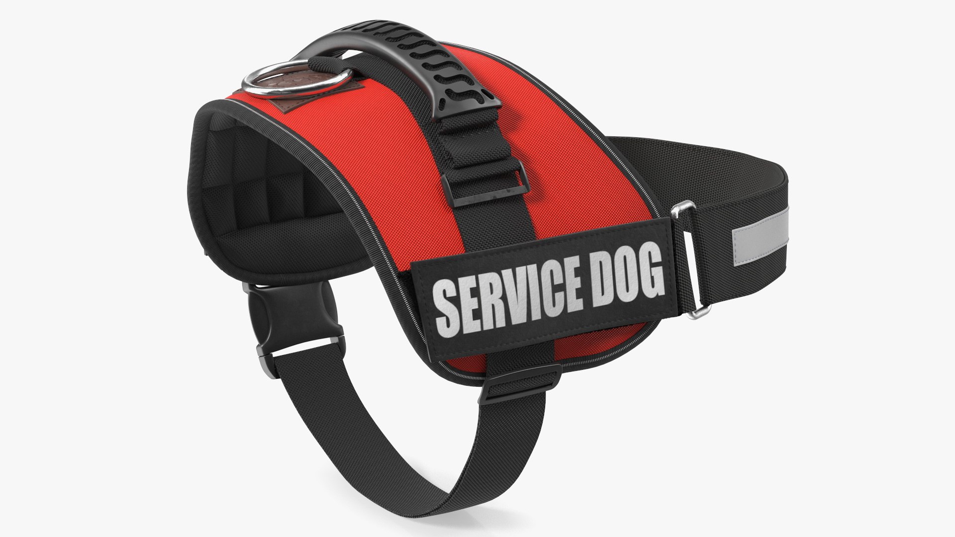 Service Dog With Harness Fur 3D Model - TurboSquid 2197310